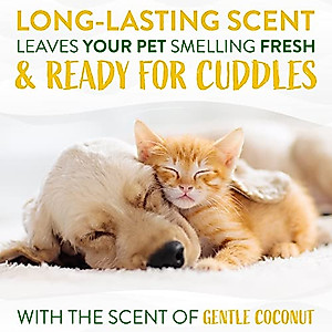 TropiClean Hypoallergenic Waterless Dog Shampoo | Dry Shampoo for Dogs With Sensitive Skin | Natural Dog Shampoo Derived from Natural Ingredients | Cat Friendly | Made in the USA | 7.4 oz