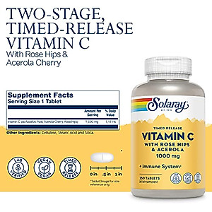 SOLARAY Vitamin C 500mg w/ Rose Hips, Acerola & Bioflavonoids, Timed-Release, Healthy Immune System Support, 250 VegCaps