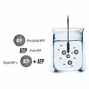 Hygiena Bio Shield Tech Aquasnap Free ATP Test Devices - AQ-100FX, Water ATP Testing Kits for Free ATP, Water Cooling Towers, Used Luminometers (100 Per Box)