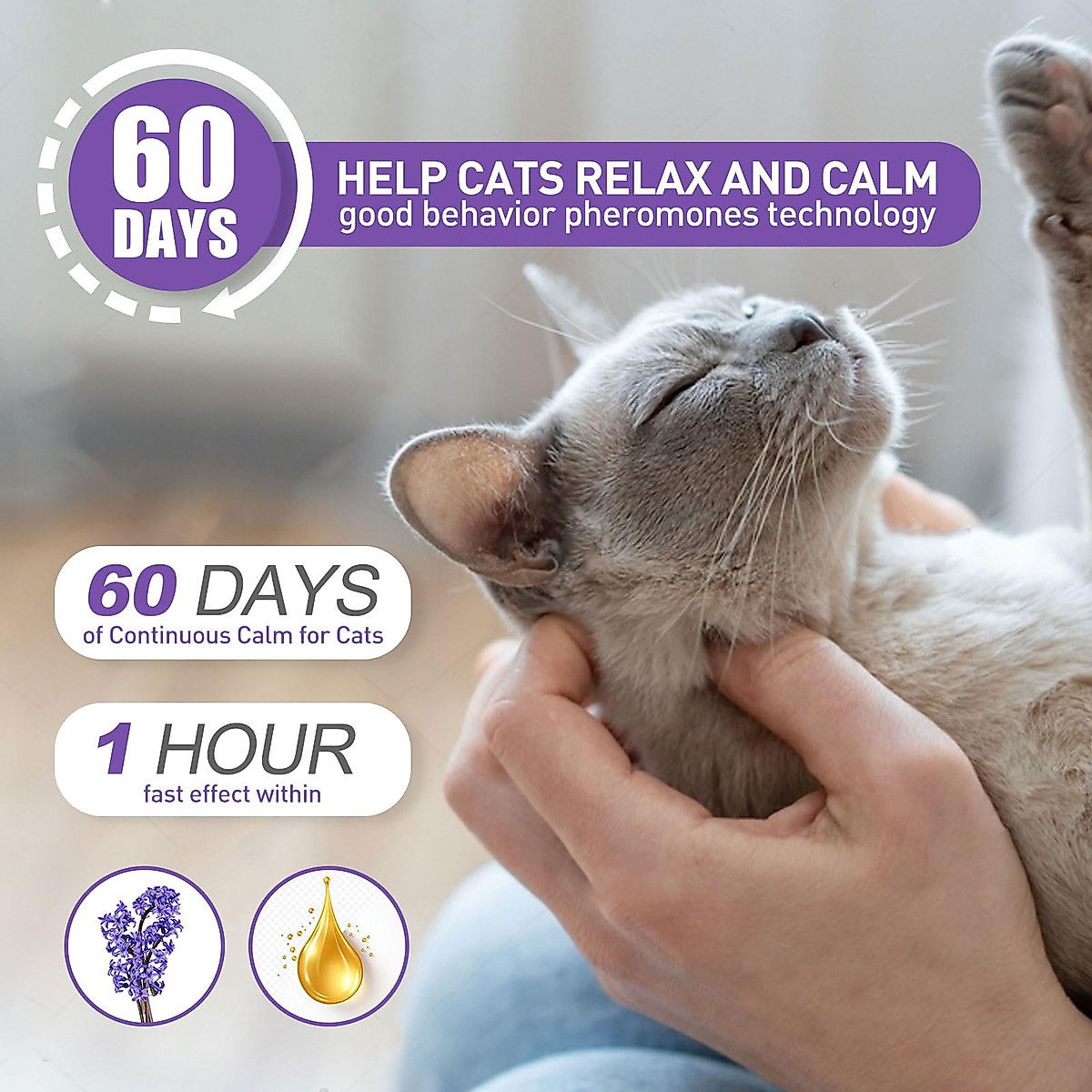 TachengMc 4 Pack Calming Collar for Cats, Cat Collars Efficient Relieve Reduce Anxiety Stress，Make Comfortable Relaxed，Pheromones Collar, Cat Calming Collar Kitten Supplies, Lasting 60 Days, Rainbow