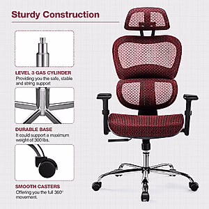 Ergonomic High Back Office Chair - High Office Chair with Headrest, Lumbar Support, Movable Armrests, Swivel Mesh Office Chair with 300 lbs Weight Capacity Adjustable Height for Home Office, Executive