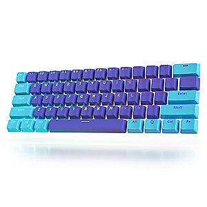 Taeeiancd PBT Keycaps for 60 Percent Mechanical Gaming Keyboard OEM Profile 61 Keycaps Set with Key Puller for Cherry MX Switches (Purple)