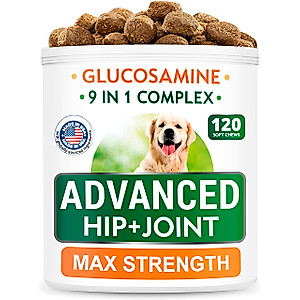 32oz Salmon Oil + 120Ct Glucosamine Treats Bundle - Skin & Coat Support + Old Dog Joint Pain Relief - EPA + DHA Fatty Acids + Chondroitin, Omega-3 - Advanced Immune, Heart & Joint Health - Made in USA