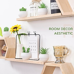 Der Rose 6 Pack Fake Plants Small Realistic Succulents Plants Artificial for Home Room Decor Indoor