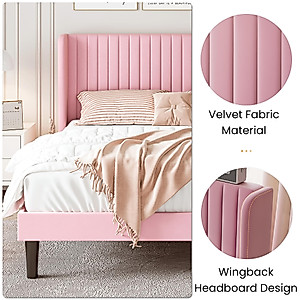 SHA CERLIN Full Size Velvet Bed Frame with Vertical Channel Tufted Wingback Headboard, Upholstered Platform Bed with Wood Slats, No Box Spring Needed, Easy Assembly, Pink