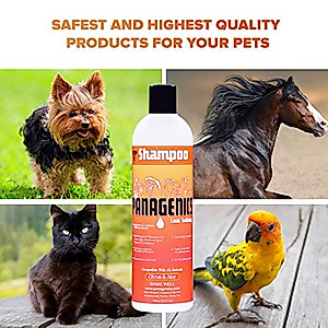 Panagenics | Pet Shampoo - Safe for ALL animals, Unscented, Contains Citrus and Aloe Active Ingredients - 16 ounce bottle