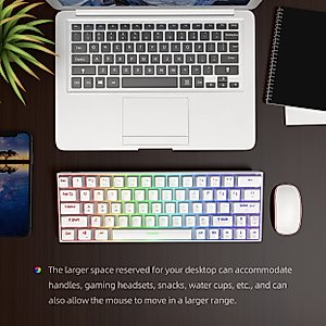 Ractous RTK63P 60% Mechanical Gaming Keyboard RGB Backlit PBT keycaps 63key Ultra-Compact Wired Keyboard Programmable for PC/Mac Gamers,Hot-Swappable Optical Red Switch (White)