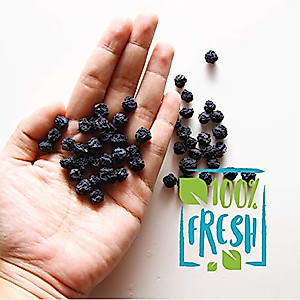 Whole Dried Blueberries, No Sugar Added, Bulk, Dehydrated, Dried Unsweetened Blueberries, All Natural, Non-GMO, 1 Pound. - 16 oz.