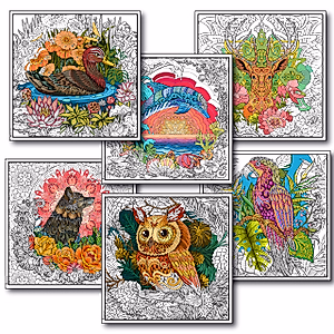 Young N Refined 6 Pack of Large Adult Coloring Poster Pages Animals Made of Mandala Floral (18x18)