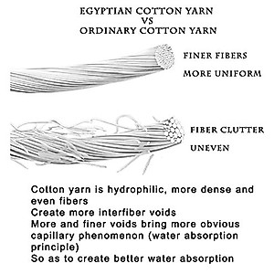 900 GSM 100% Egyptian Cotton Towel,Oversized Bath Towels - Heavy Weight & Absorbent - top Luxury Bath Towels at a Seven-Star Hotel in Dubai,28 x 60 inches,2-Piece (Violet)