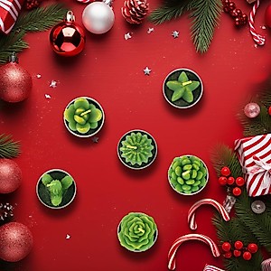 AIXIANG 6 Styles Cactus Tealights Candle Delicate Succulent Tealight Candles for Home Decor New Year Presents, Housewarming Gifts, Housewarming Favors for Guests, Christmas Decorations (6 Pcs)