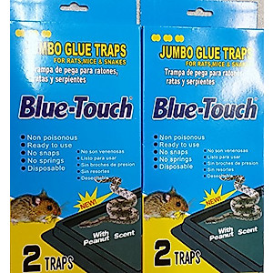 2 Packs of 2 Blue-Touch Jumbo Rat, Mice, and Snake Traps Total 4 Traps)
