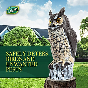 Dalen Large Fake Owl Decoy to Scare Birds Away - Garden Scarecrow Provides Natural Pest Control - 16" Tall - Great Horned Owl