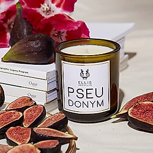 Ellis Brooklyn Pseudonym Terrific Scented Candle | Vegan Soy Wax Luxury Scented Candle, Hand Poured in The USA, 50-60 Hour Slow Burn Time, Recycled 6.5 oz Jar with Gift Box