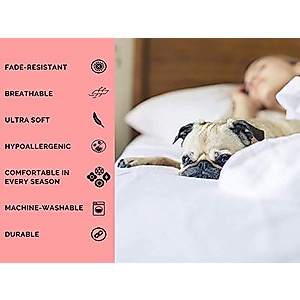 Duvet Cover Queen with Zipper Closure 3 Piece Duvet Set 1000 Thread Count 100% Long-Staple Egyptian Cotton Comforter Cover Ultra Soft Duvet Protector, Hotel Class Quilt Cover (Queen/Full, White)