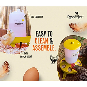 Roosty's - Top Fill Chicken Feeder and Waterer - 1.5KG/1.5L | Hanging, Small, Duck & Quail Feeder & Waterer | Chicken Supplies