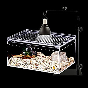 REMASIKO Magnetic Acrylic Case, 12" x 8" x 6" Enclosure Flat Long Reptile Breeding Box Terrarium Cage for Scorpion Sling Isopods Lizards Invertebrates Insects Mantis