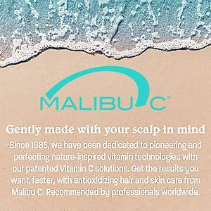 Malibu C Scalp Wellness Collection - Soothing Shampoo and Conditioner Hair Care Set for Dry Scalp - Formulated with Vitamin C Antioxidant Complex - Travel Size Scalp Remedy Packets Included (33.8 oz)