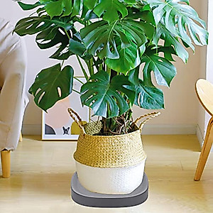 TOPZEA 2 Pack Plant Caddy with Wheels, 12-1/4 Inch Plastic Plant Roller Heavy-Duty Plant Stand with Wheel, Plant Pallet Caddy Plant Dolly Saucer with Casters, Flower Pot Mover for Indoor Outdoor Plant