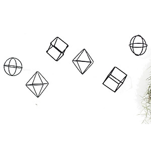 ZOOELAY Small Air Plant Holders Stand Black Airplants Rack Planters Metal Air Fern Plant Display Cage Geometric Tillandsia Pot Containers Gift Idea 6 Pcs