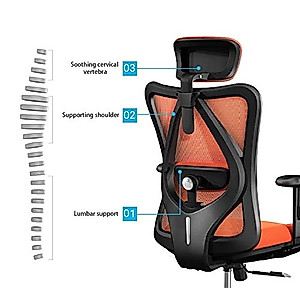 HOUKAI Executive Office Chair - High Back Office Chair with Footrest and Thick Padding - Reclining Computer Chair with Ergonomic Segmented Back, Black
