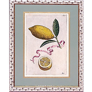 Plate 193: Limon Vvlgaris