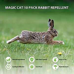 MAGIC CAT Rabbit Repellent Outdoor, 10 Pack Natural Peppermint Oil Deer and Rabbit Away Repellent for Plants Pet Family Safe, Rabbit Deterrent Deer Stopper to Keep Deer Bunny Out of Yard Garden Lawn
