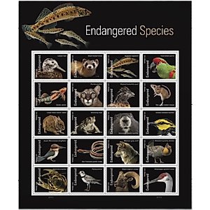 Endangered Species (Sheet of 20) Postage Forever Stamps US Postal First Class Animal Bird Fish Duck Wildlife Habitat Announcement Celebrate Anniversary Wedding 2023 Scott #5800
