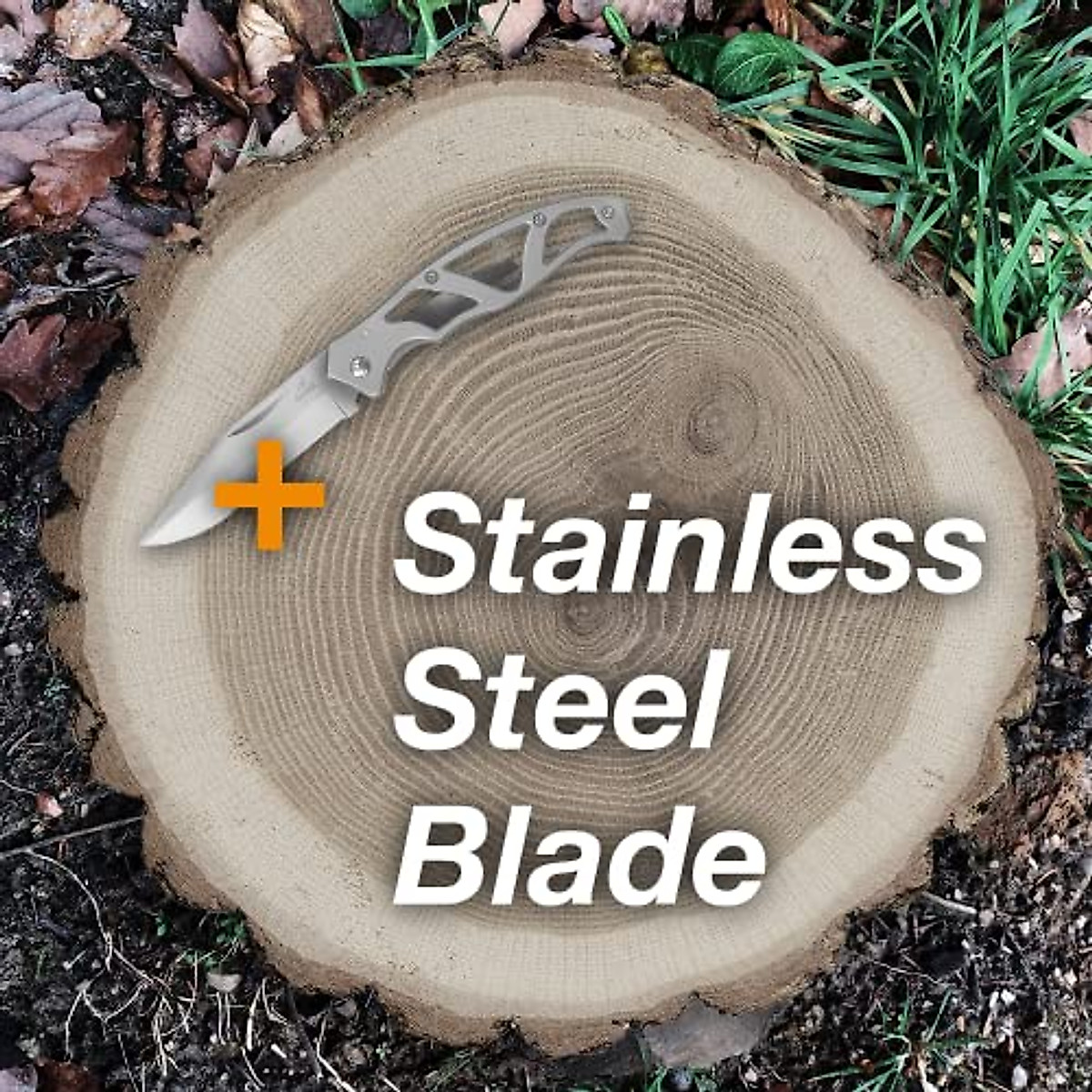 Gerber Gear 22-48485 Paraframe Mini Pocket Knife, 2.2 Inch Fine Edge Blade, Stainless Steel