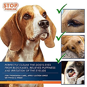 All Pets Eye Wash Drops for Relieve Pink Eye, Allergies Symptoms, Infections & Runny, Dry Eyes - Pain-Free Treatment Helps Prevent Abrasions, Irritations & Conjunctivitis