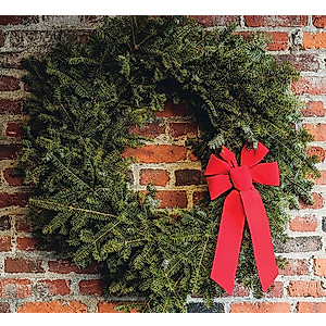 Red Velvet Ribbon Wired Christmas Ribbons 2.5 Inch Wide Wired-Edge Trim - Floral & Gift Wrapping Bow, Indoor Outdoor Christmas Tree Bows/Winter Wedding Ribbons Xmas Trees Crafts & Gifts (10)