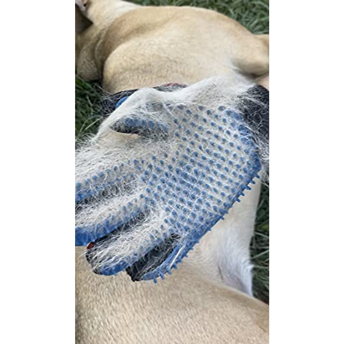 Pet grooming glove gentle deshedding brush (One size)