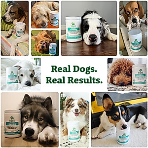 Doggie Dailies Calming Chews for Dogs, 225 Soft Chews, Melatonin for Dogs with Chamomile to Help Manage Stress Relief, Calm & Relaxation During Thunderstorms, Fireworks, Travel, & Separation