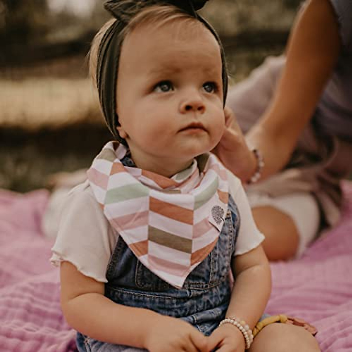 Parker Baby Bandana Drool Bibs 4 Pack Baby Bibs for Girls - "Lincoln Set"