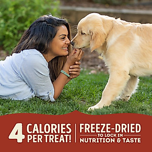 ACANA Singles Freeze Dried Dog Treats, Limited Ingredient Grain Free Beef & Pumpkin Recipe, 3.25oz
