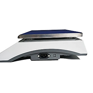 PEC Tools Digital Counting Scale - Digital Inventory Scale for Packages and Mail - Weight Counting Scale for Coins and Small Parts - Heavy Duty Scale - 66lbs