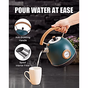 Talafa Electric Tea Kettle with Temperature, 1.7L/1500W Electric Water Kettle with Food Grade Stainless Steel, Hot Water Boiler Teapot for Boiling Water Auto Shut-off and Boil-Dry Protection, Green