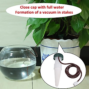 16 Pack Plant Self Watering Stakes Insert Automatic Watering Devices Self Watering Spikes Indoor Outdoor Plant Watering for Vacation