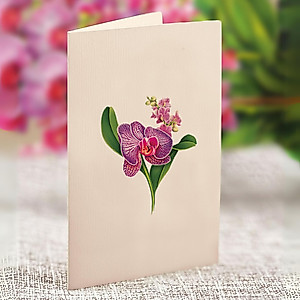Freshcut Paper Pop Up Cards, 6 Inch Mini Sized Forever Flower Bouquet 3D Popup Greeting Cards, Birthday Gift Cards, Birthday Gifts with Note Card and Envelope, Mini Orchid Oasis