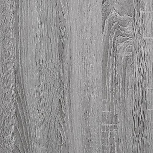 TV Cabinet,Entertainment Cabinet,TV Unit Cabinet,Modern TV Unit,for Living Room, Dinning Room, Bedroom, Rustic Brown Engineered Wood, grey sonoma 100 x 40 x 50 cm (Grey Sonoma 100 x 40 x 50 cm)