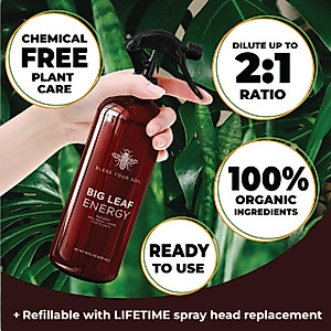 Big Leaf Energy : RTU Wellness Spray for Indoor Plants : Organic Neem Oil + Essential Oils (16OZ, Plastic Bottle)