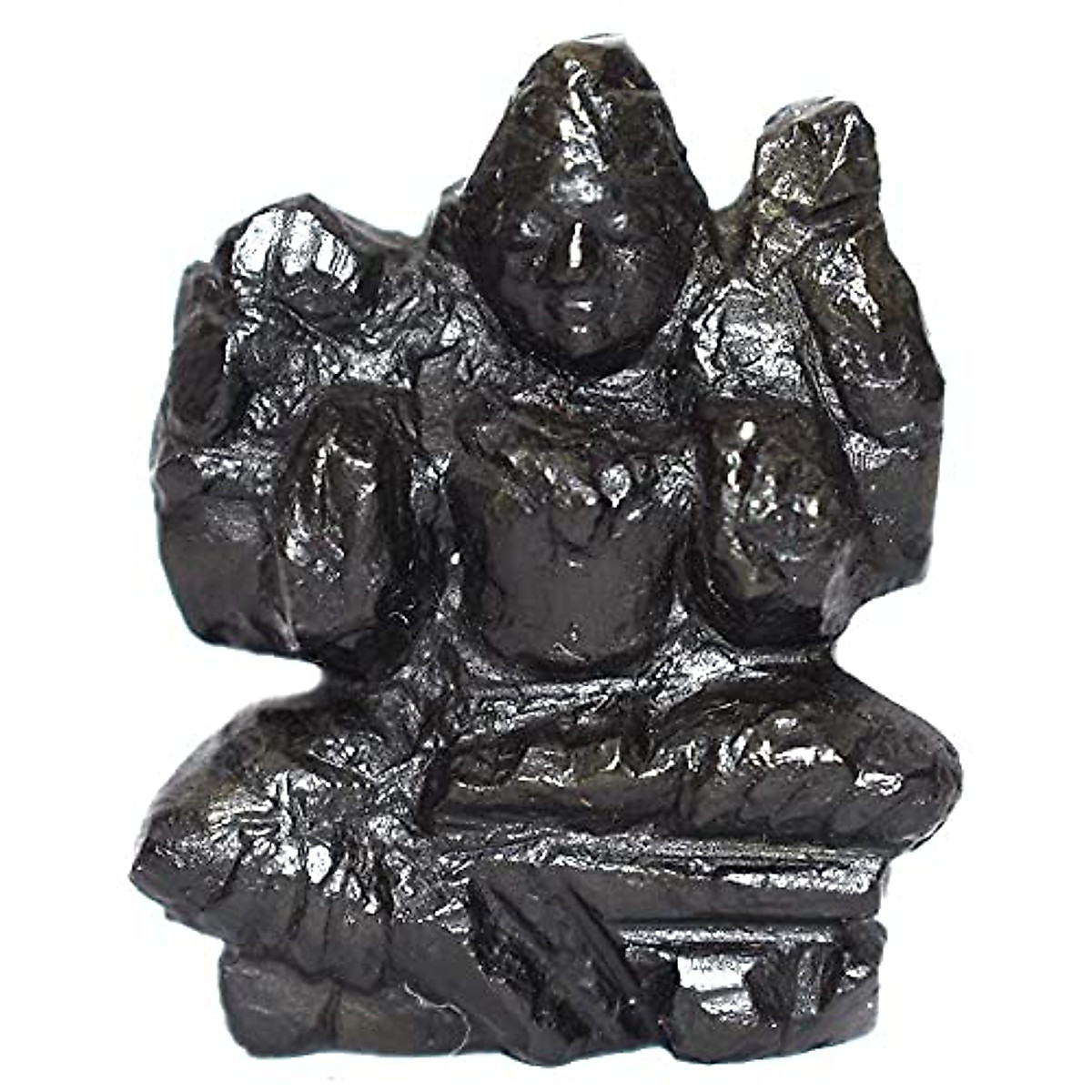 Rudrakshguru Goddess Lakshmi Idol Carved on Natural Sudarshan Shaligram