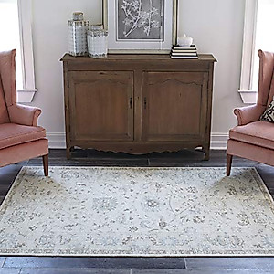 Momeni Anatolia Wool and Nylon Area Rug, 2' X 3' Beige