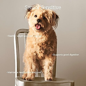 Now Fresh Grain-Free, Dry Dog Food, Real Meat and Fish, Turkey, Salmon and Duck Senior Recipe, All Breed Size, 22 lb Bag