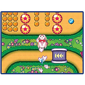 Zhu Zhu Princess: Carriages and Castles - Nintendo DS