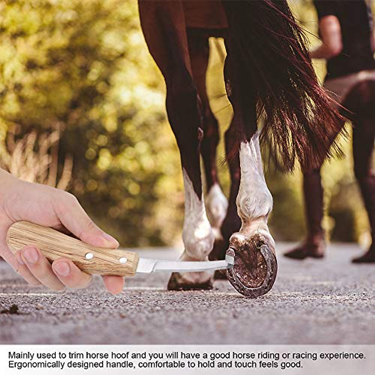 Hoof Knife Hoof Knife For Horses Horse Hoof Trimmers Hoof Trimmer Hoof Pick Hoof Knife Goat Hoof Trimmers Hoof Picks For Horses,Hoof Knife Straight Blade Left Right Handed Trimming Tool for Cattle