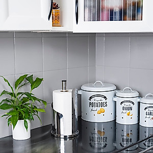 Paper Towel -Toilet Holder Milena Stainless Steel- Silver Spiral Design for Kitchen, Bathroom Countertop