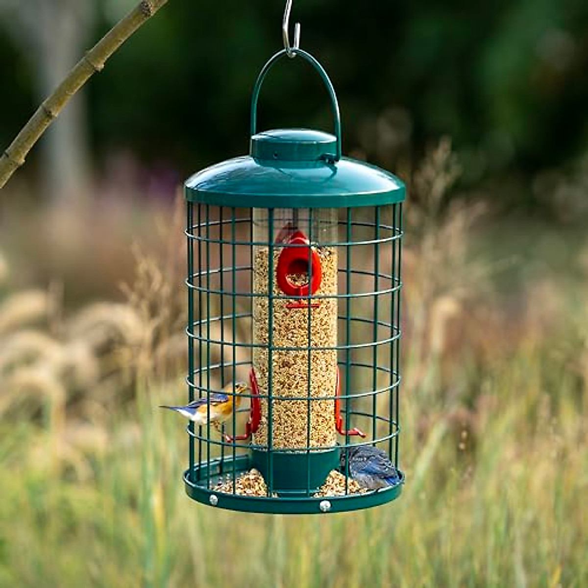 Mosloly Caged Bird Feeder for Wild Birds Outside, Large Squirrel-Proof Heavy-Duty Metal Hanging Tube Bird Feeder, 4 Feeding Ports, 13.2'' High, 3LB Seed Capacity (Green)