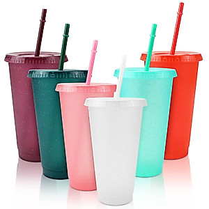 Fyess 6 Sets Tumbler with Straw and Lid,Plastic Water Bottle Travel Cup Reusable Cup (6 Colors,24 oz)