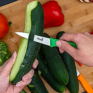 Slitzer Germany 4-Piece Kitchen Knife Set - German Stainless Steel Blades & Colorful Handles - Utility, Paring, Vegetable, & Beak Carving Knives